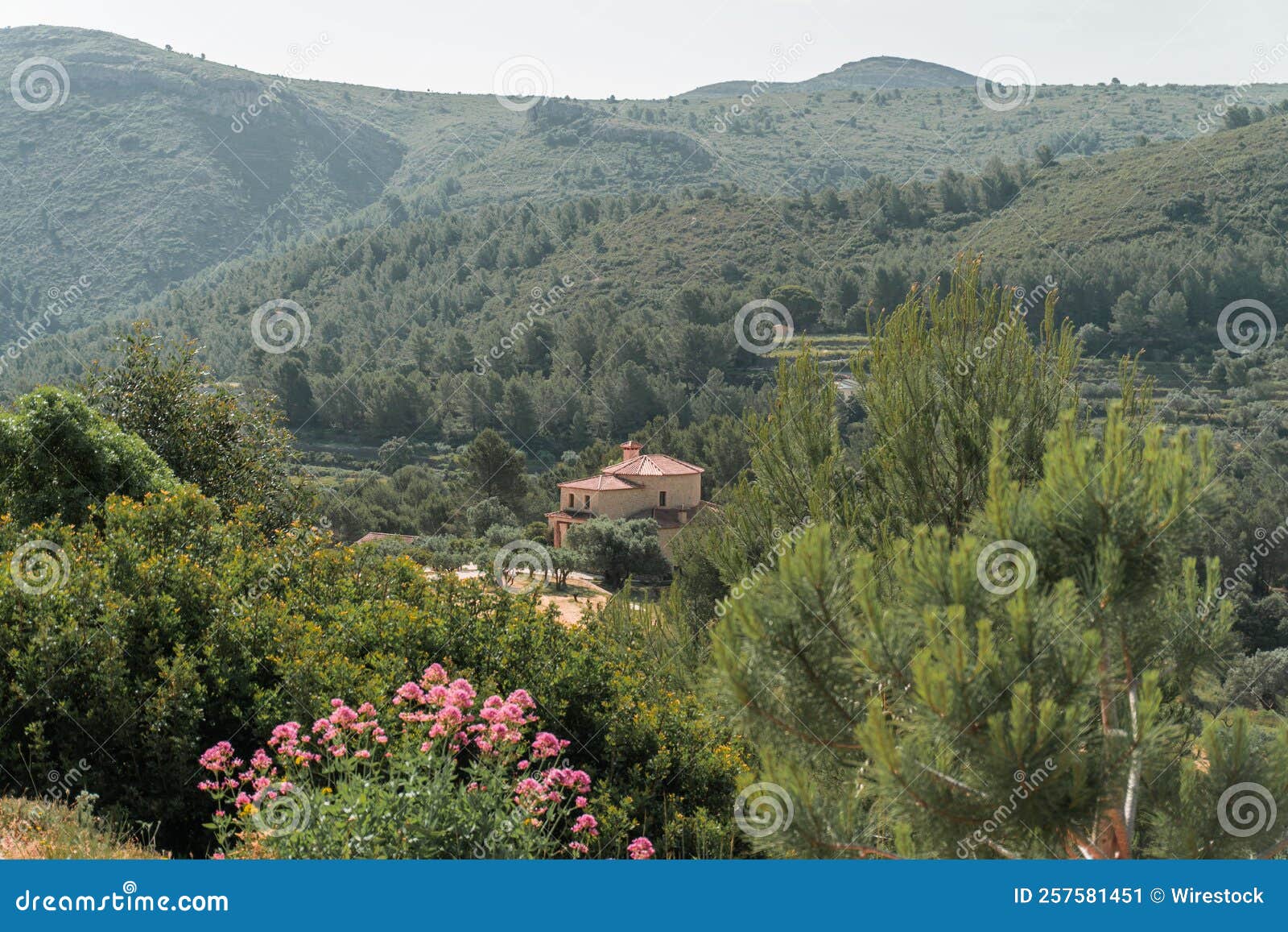 View of a Building Hiding in Trees before the Mountains Landscape in ...