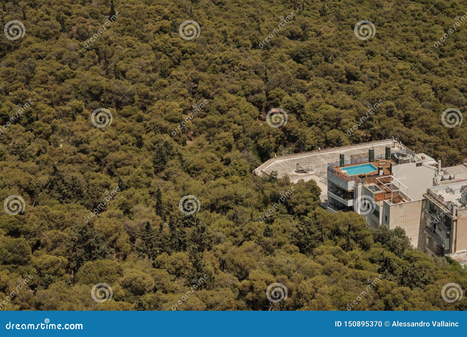 View of Building with Swimming Pool Surrounded by Forest with Trees in ...