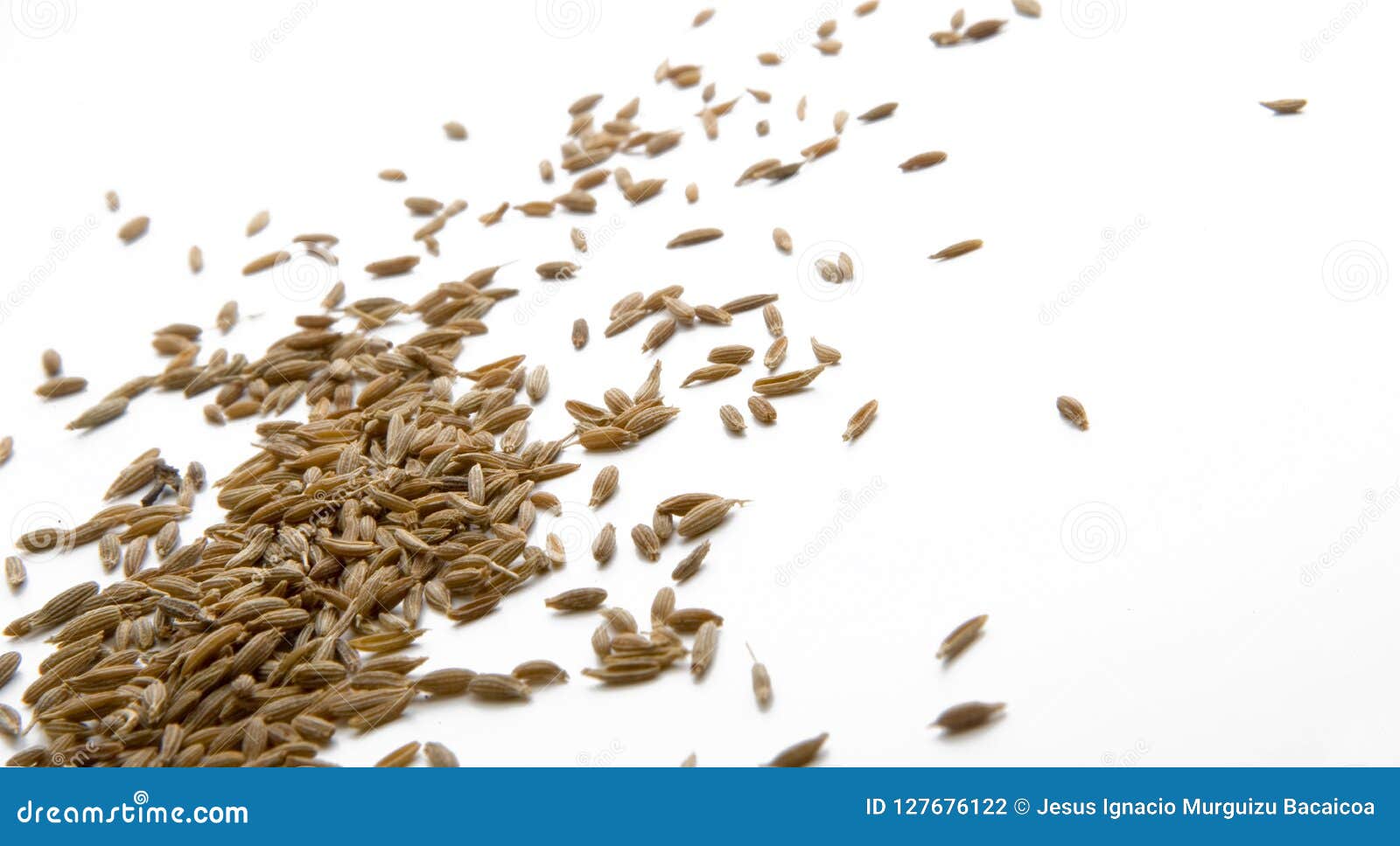 View of a Bunch of Whole Grain Rice Stock Photo - Image of background ...