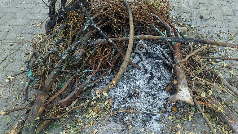 View of Burning ashes stock photo. Image of background - 287944768