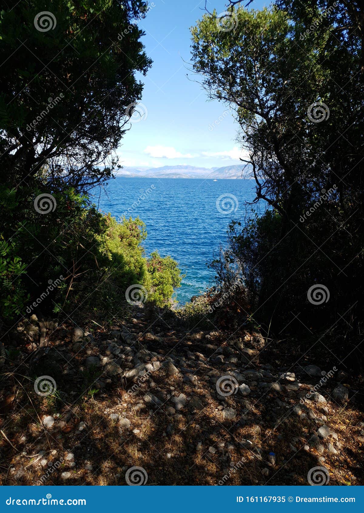 View through the Bush stock image. Image of view, heat - 161167935