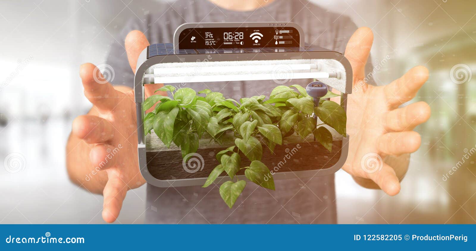 Businesmann Holding a Digital Vegetal Plant Connected Stock Image ...
