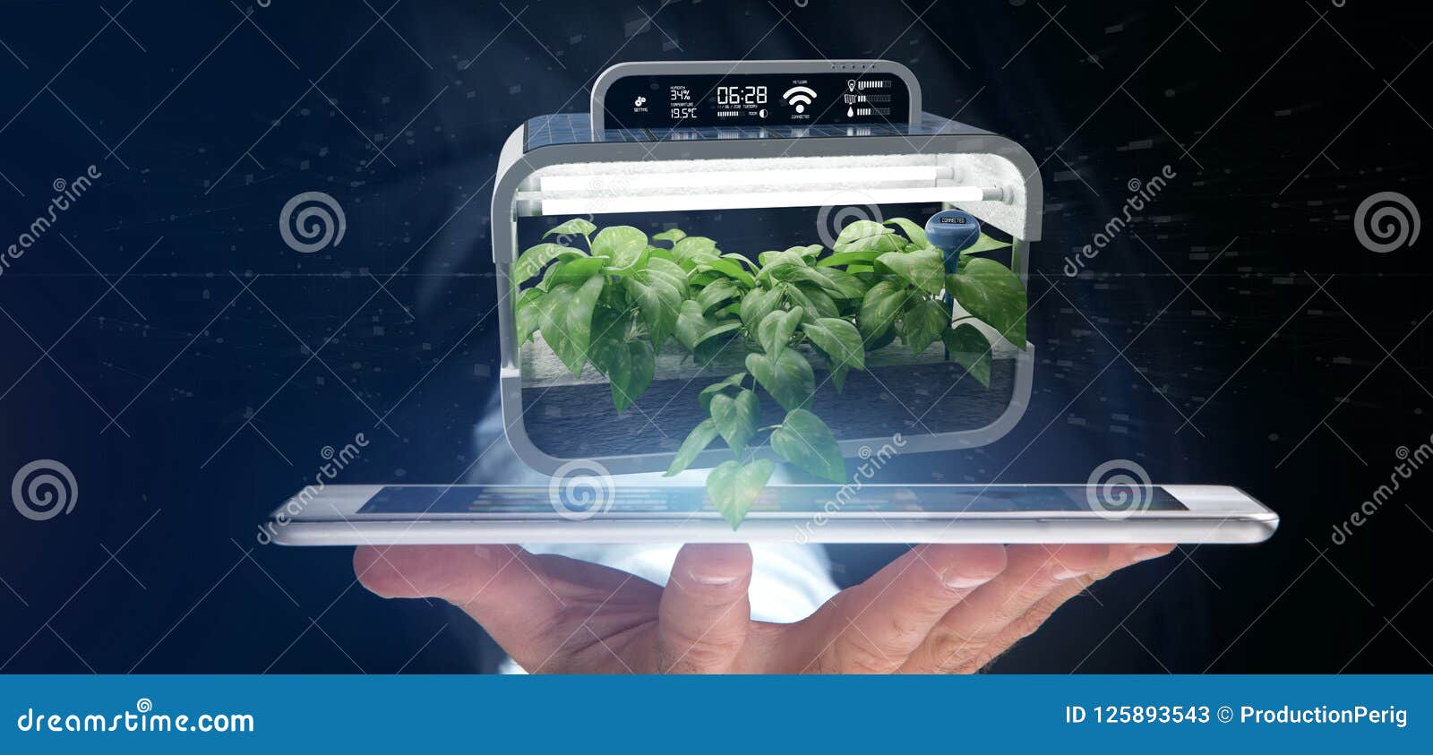 Businesmann Holding a Digital Vegetal Plant Connected Stock Image ...