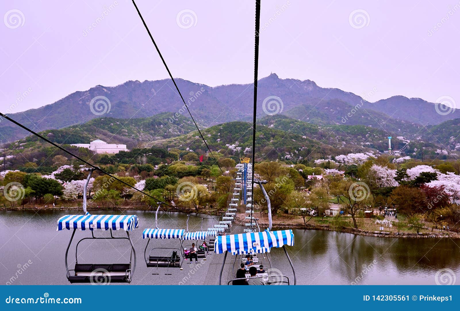View of Cable Cars Crossing the Lake Stock Image - Image of korea ...