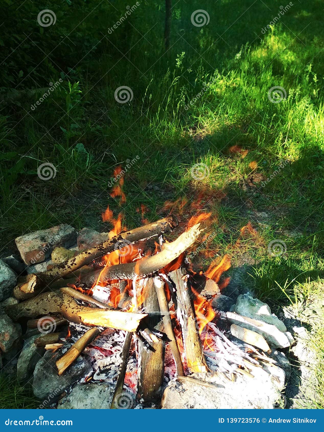 Camp Fire Rest in the Open Air Stock Photo - Image of outdoor, forest ...