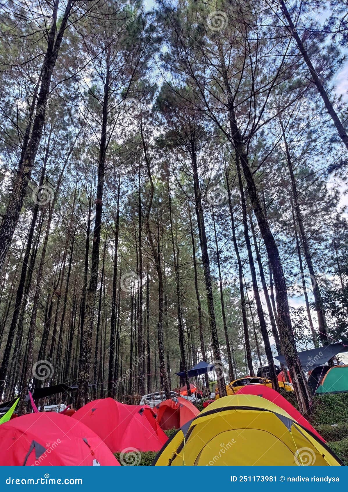 The View at the Campsite in the Morning Editorial Photo - Image of ...