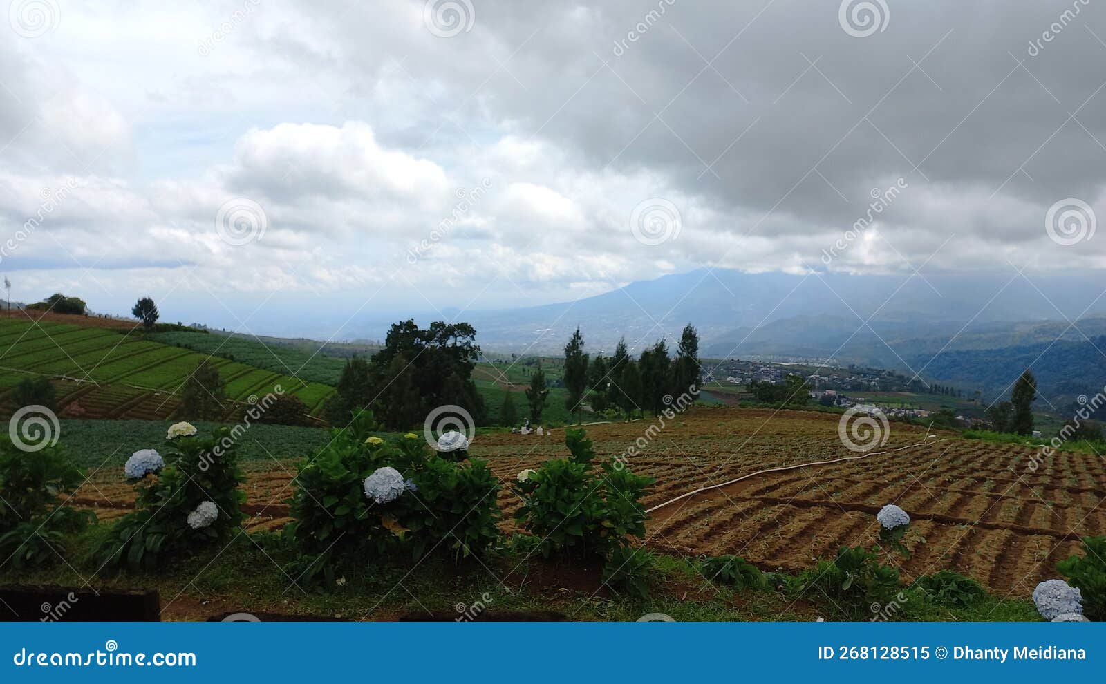 The View Cangar Malang Indonesia Stock Image - Image of cangar ...