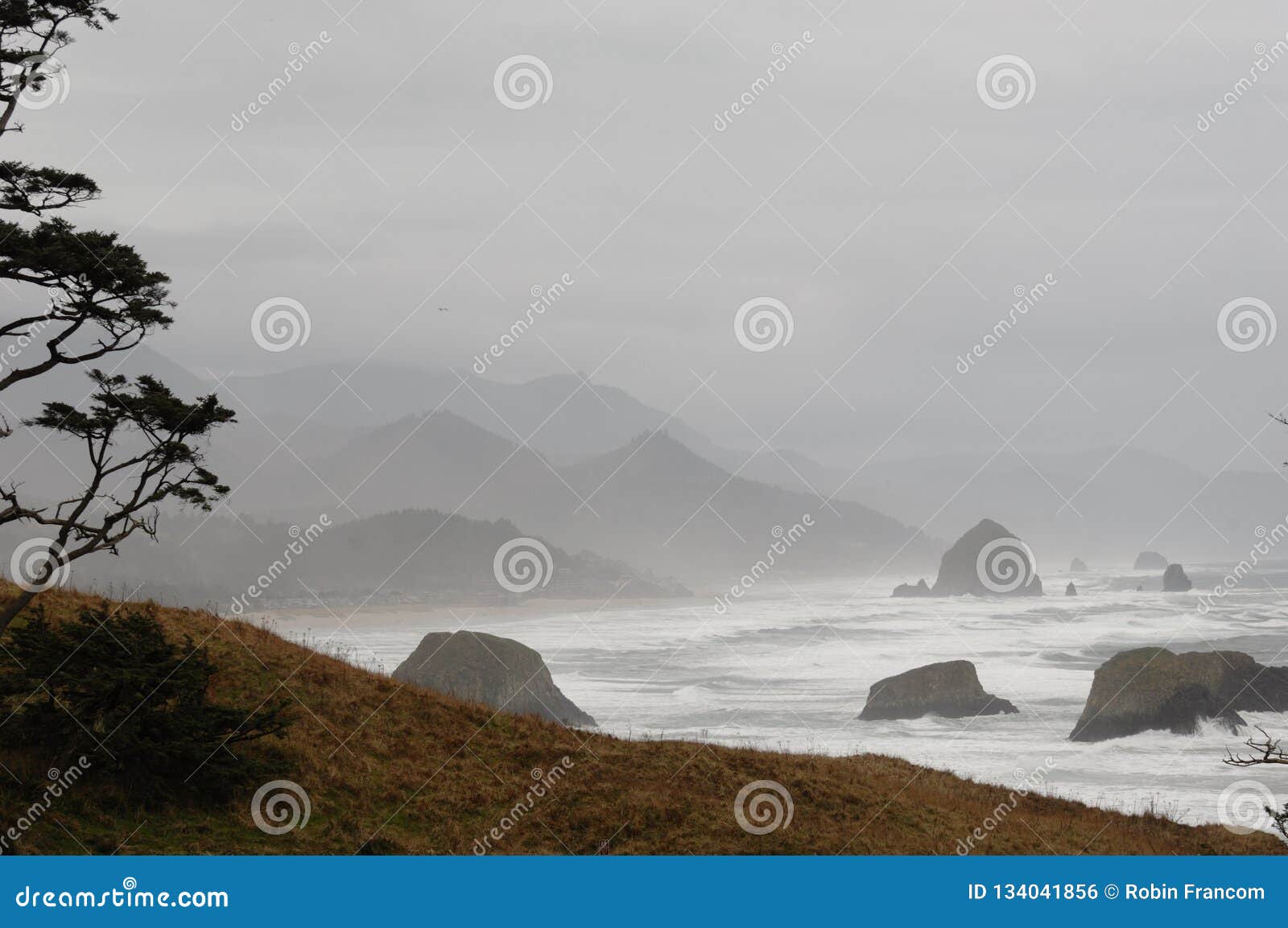 Oregon Sea Stacks with View of Cannon Beach Stock Photo - Image of ...