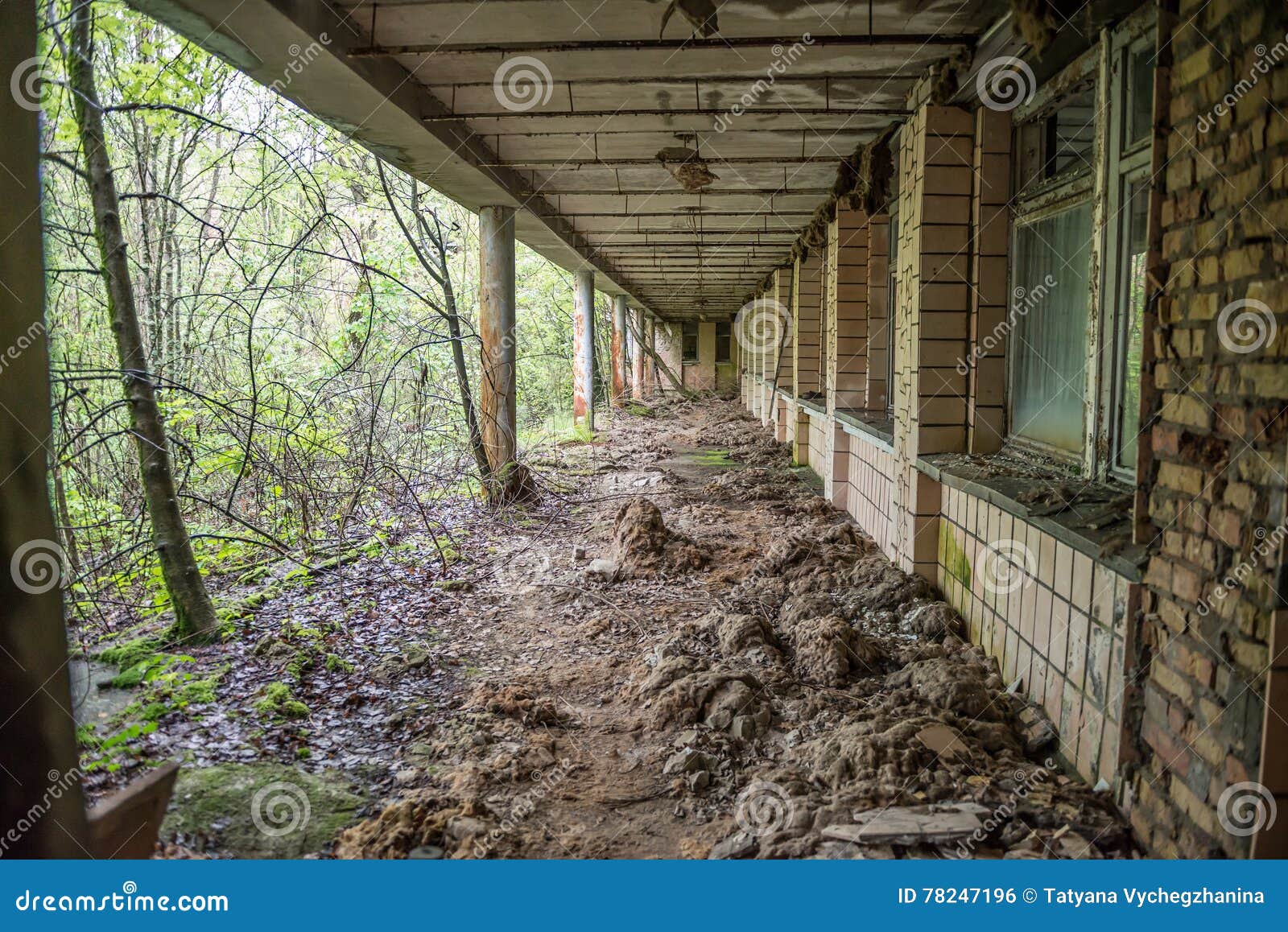 View of Canopy and Mess Under Windows in Pripyat Abandoned School Stock ...