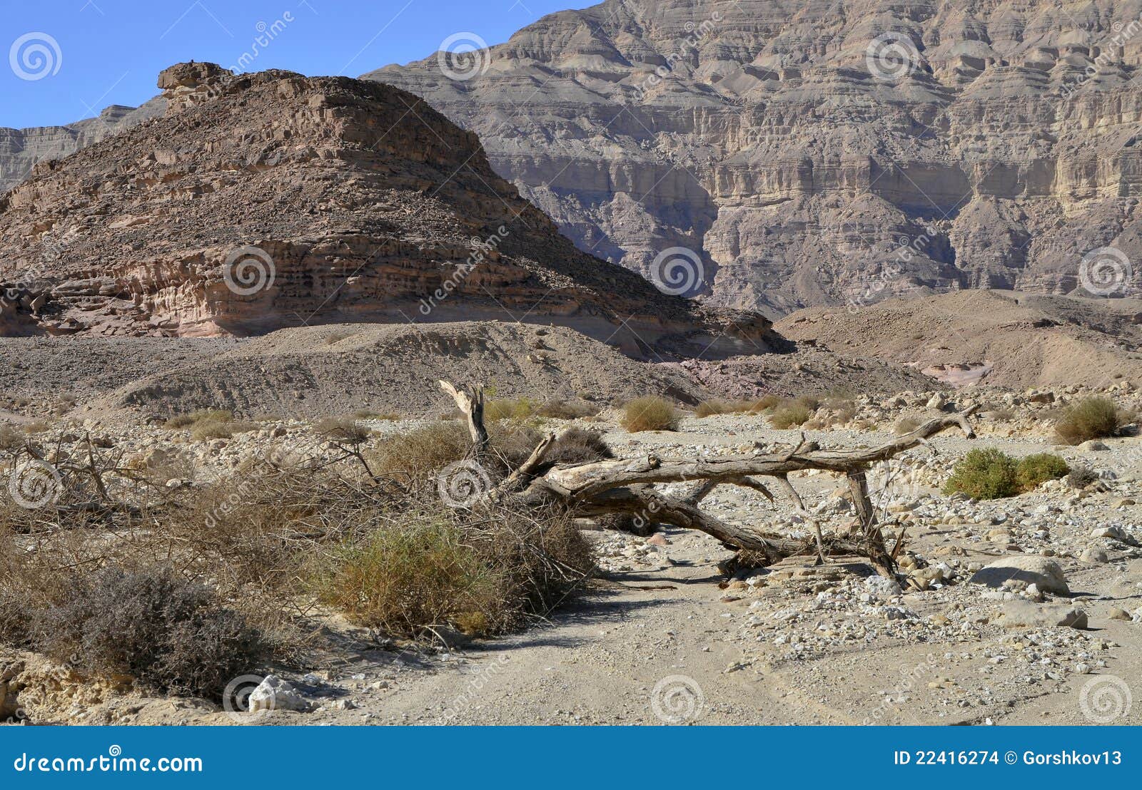 View on Canyon of Timna Park, Israel Stock Photo - Image of recreation ...