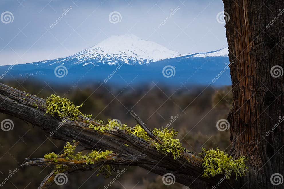 View on the Cascade Mountain Range from Bend Oregon Stock Photo - Image ...