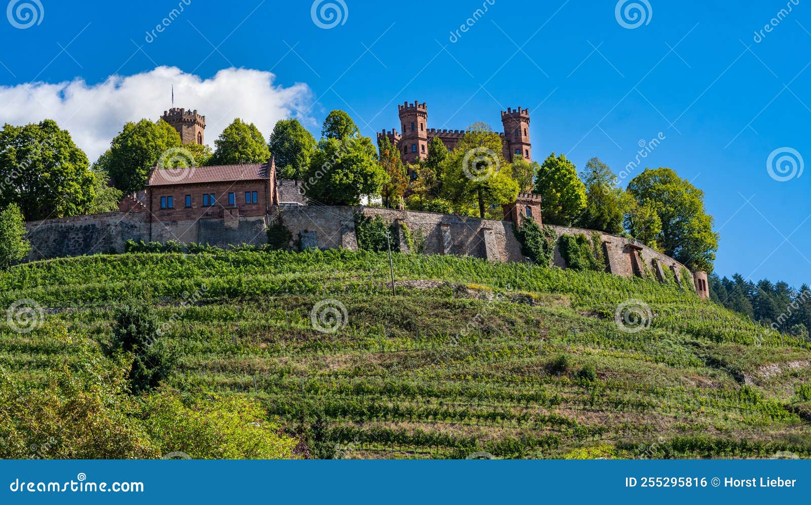 View of the Castle Ortenberg Surrounded by Vineyards_Ortenberg, Baden ...