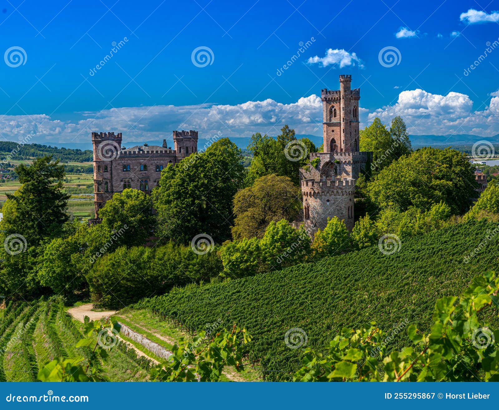 View of the Castle Ortenberg Surrounded by Vineyards_Ortenberg, Baden ...