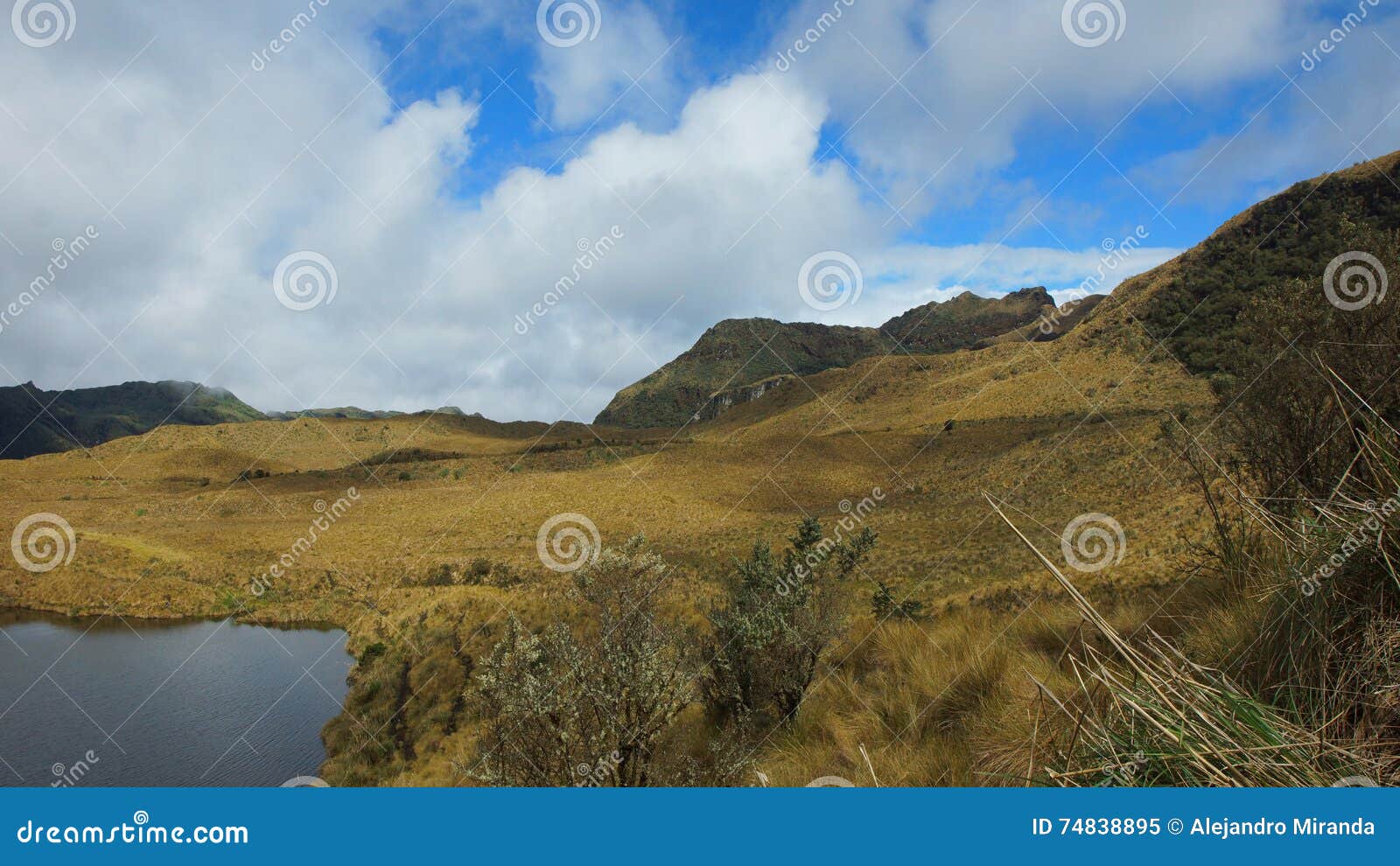 View of Cayambe Coca National Park Stock Image - Image of beautiful ...