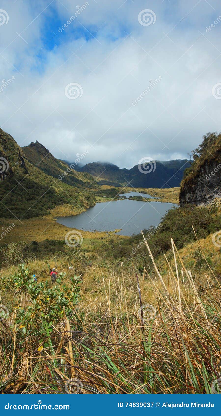 View of Cayambe Coca National Park Stock Image - Image of vertical ...