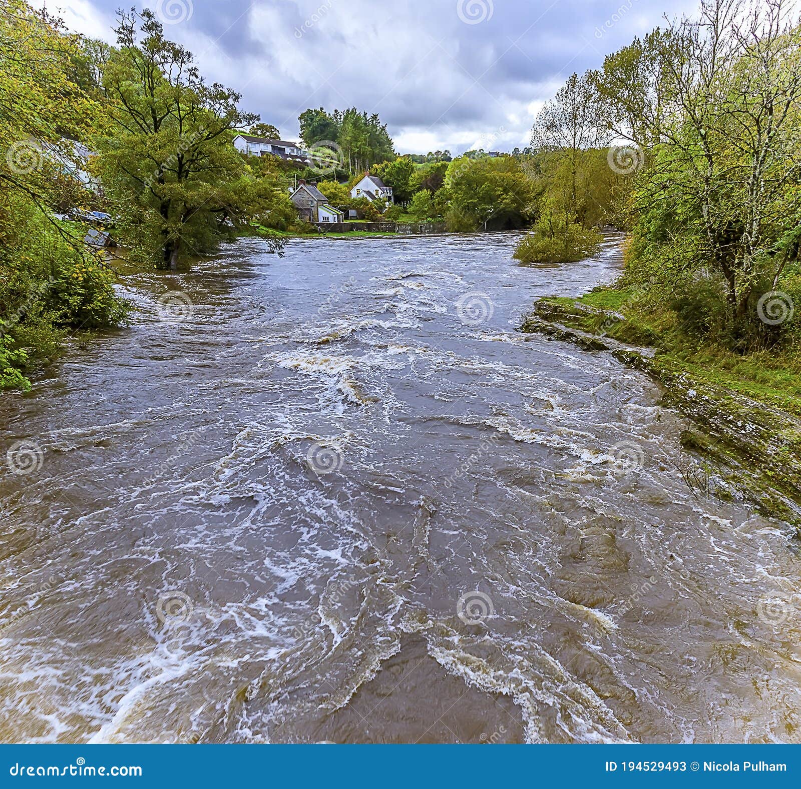 A View from Cenarth Down the River Teifi, Wales after Heavy Rainfall ...