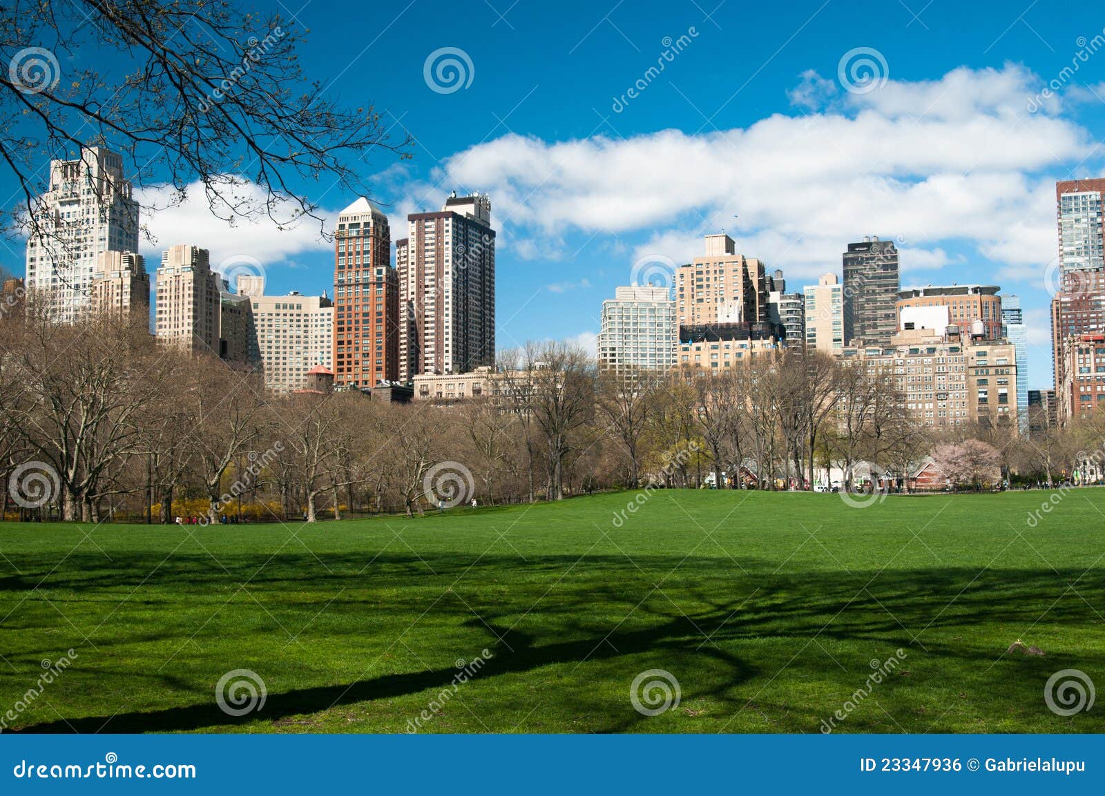 View from central park stock photo. Image of park, america - 23347936