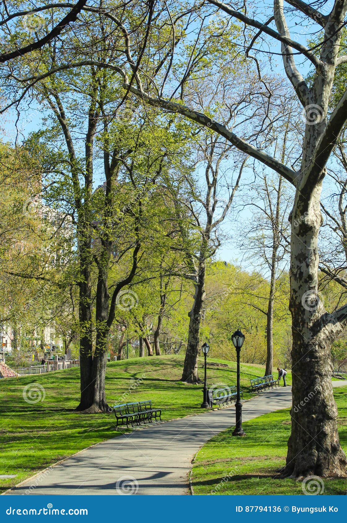 View of Central Park at Sunny Spring Day Stock Photo - Image of town ...