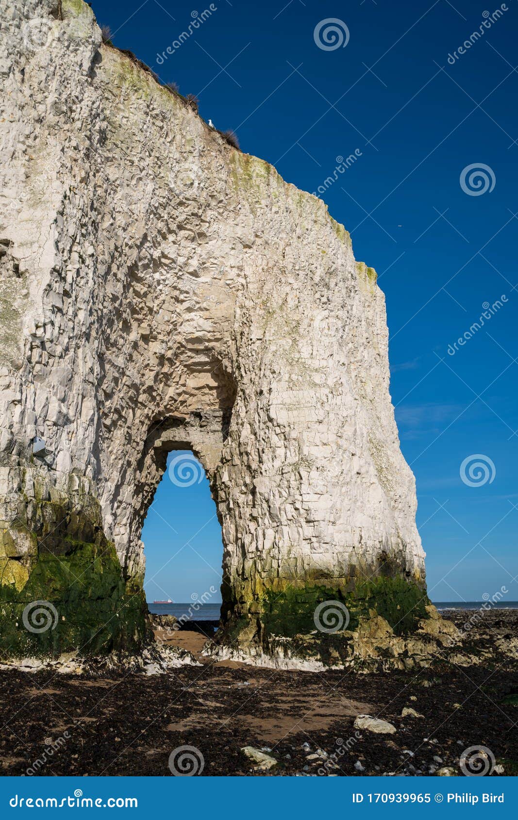 View of Chalk Cliffs at Botany Bay Near Broadstairs in Kent Stock Image ...