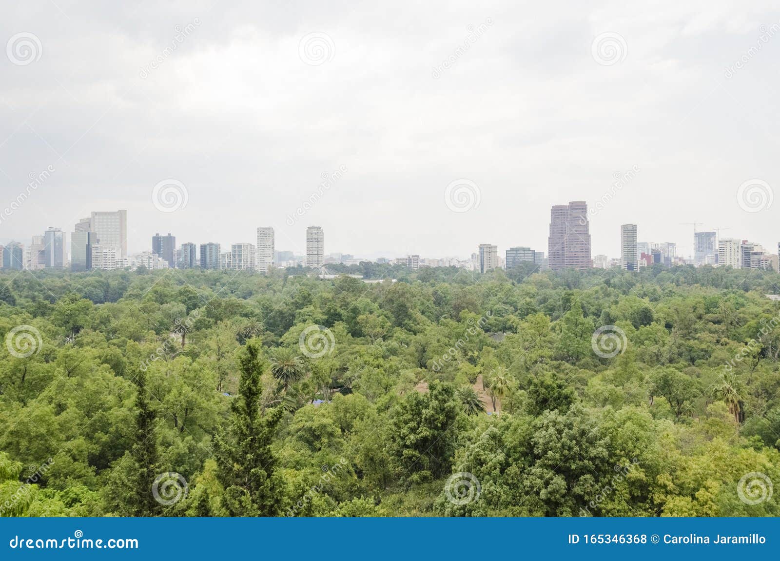View of Chapultepec Forest and Mexico City from Chapultepec Castle ...