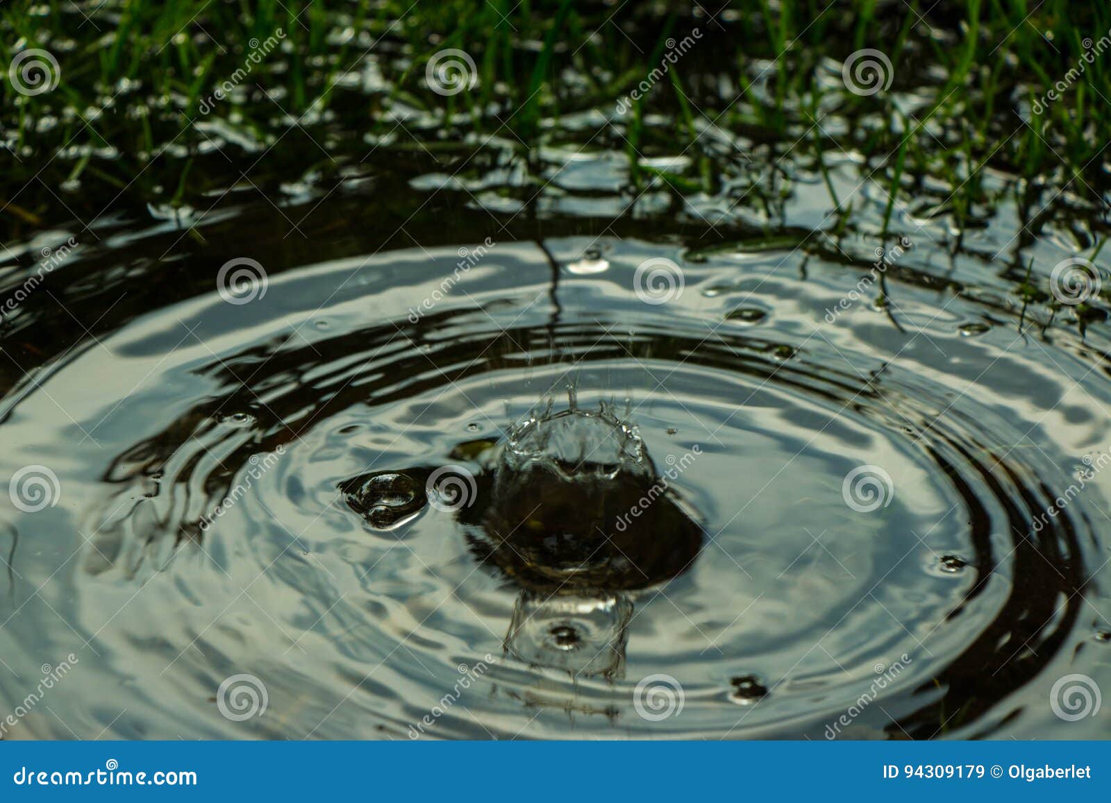 Drop Hit the Surface of the Water Stock Image - Image of liquid ...