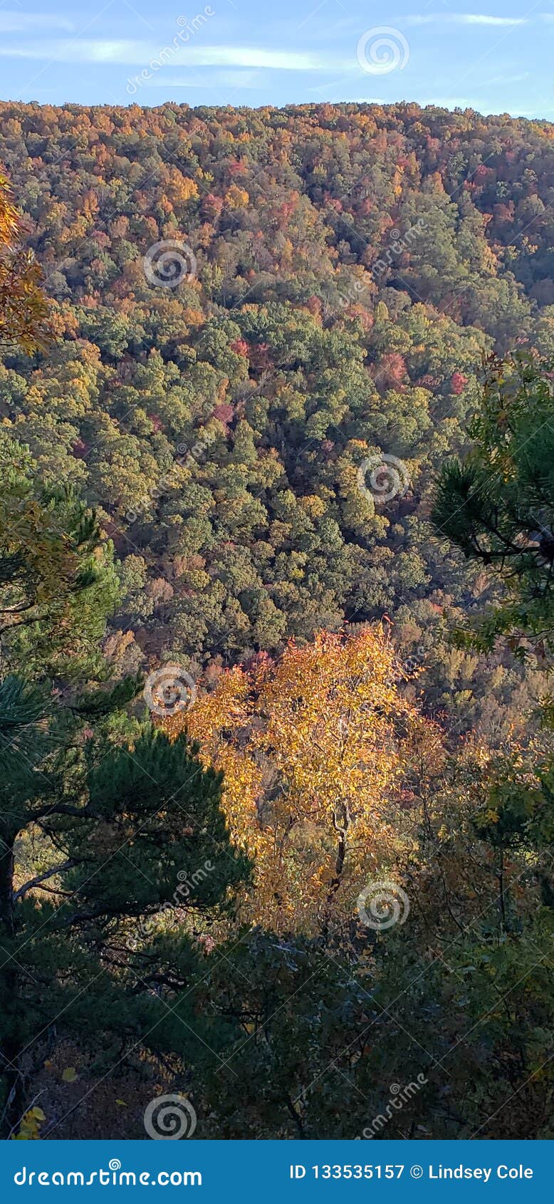 Batson Mountain Stock Photos - Free & Royalty-Free Stock Photos from ...