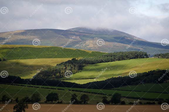 View of the Cheviot Hills stock image. Image of cheviot - 3172407