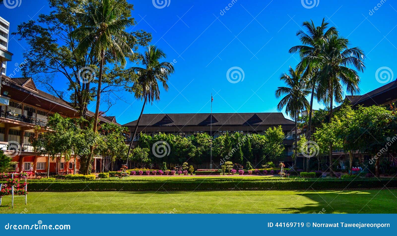 View stock image. Image of cmru, flowers, rajabhat, university - 44169719