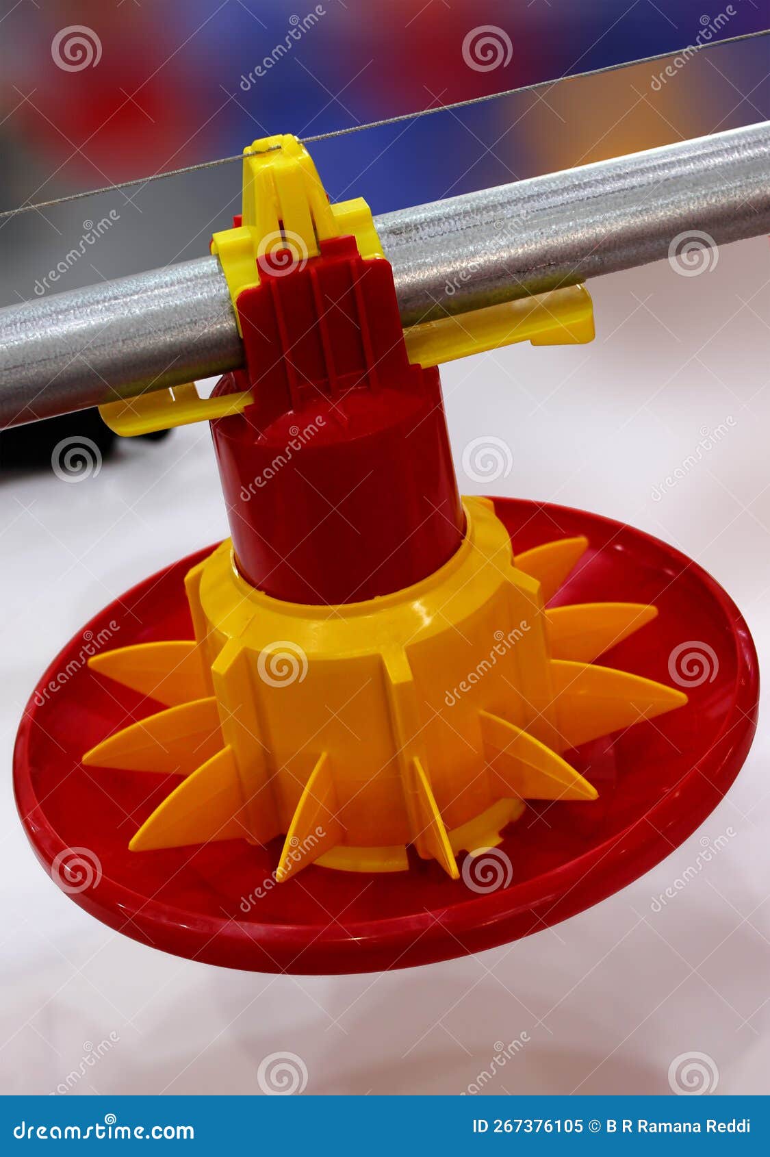View of Chicken Automatic Feeder in Cage Rearing Farm Stock Image ...