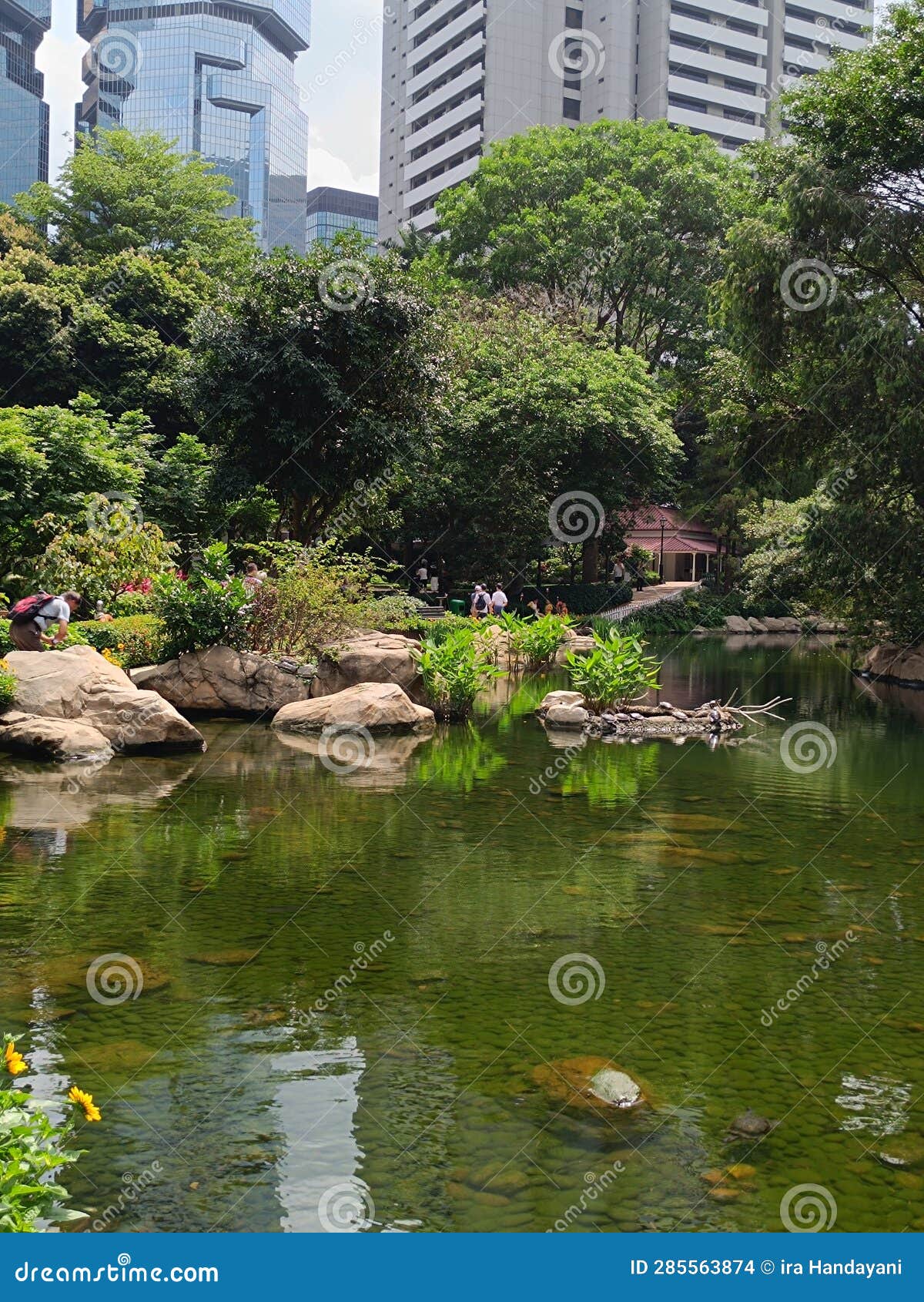 View on City Park with Flowing River Stock Photo - Image of garden ...