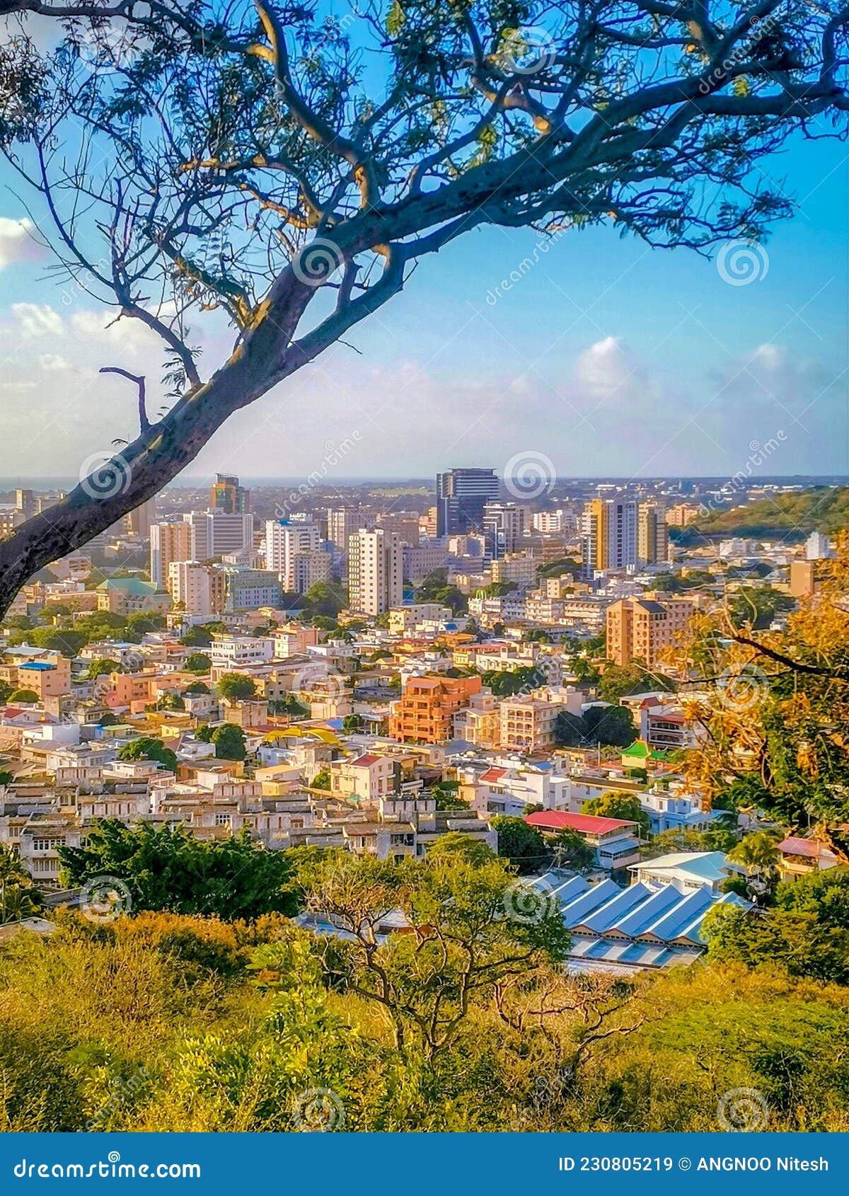 View on the City of Port Louis Mauritius Stock Image - Image of ...