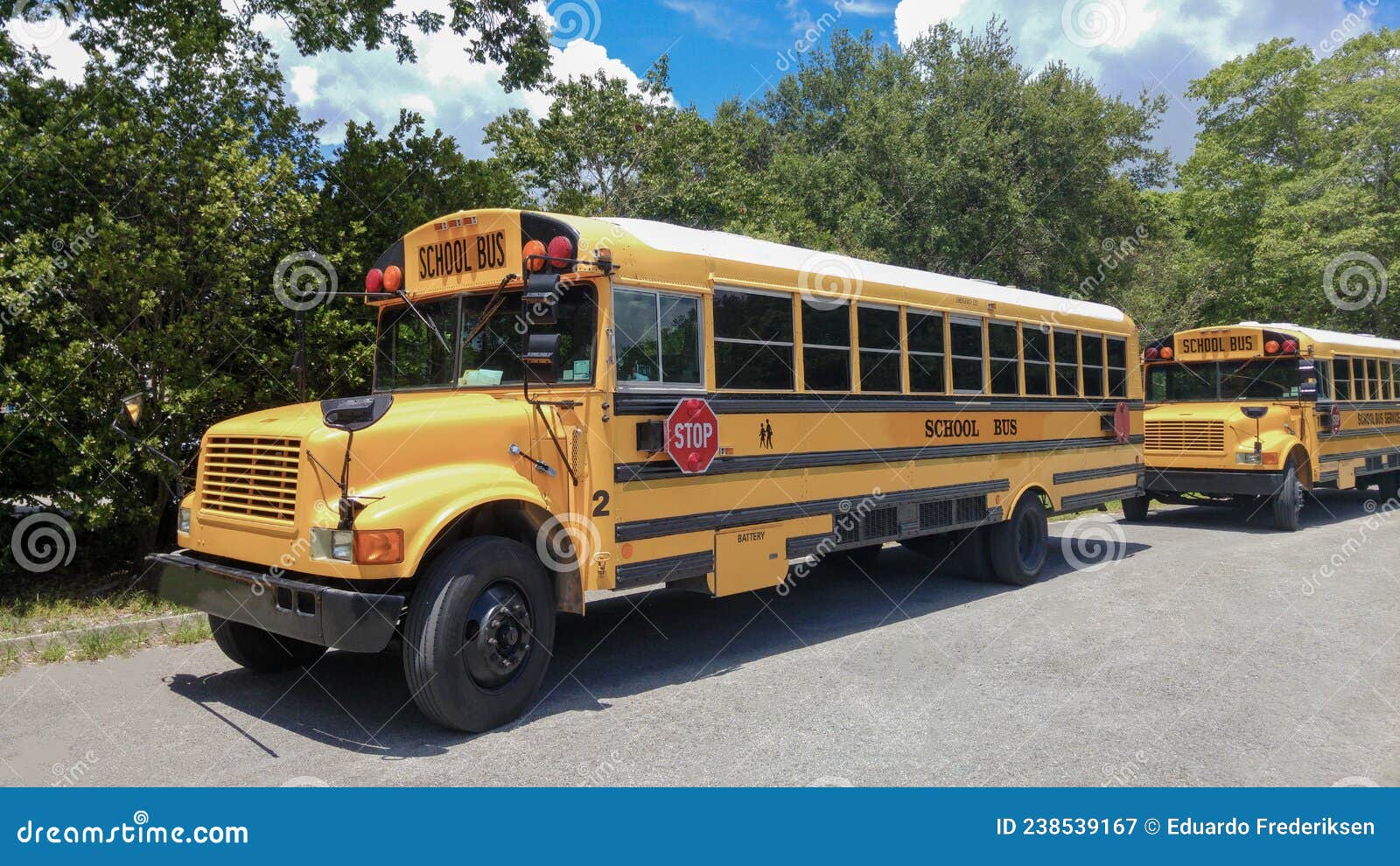 View of Classic Yellow American School Buses in a Row Stock Image ...