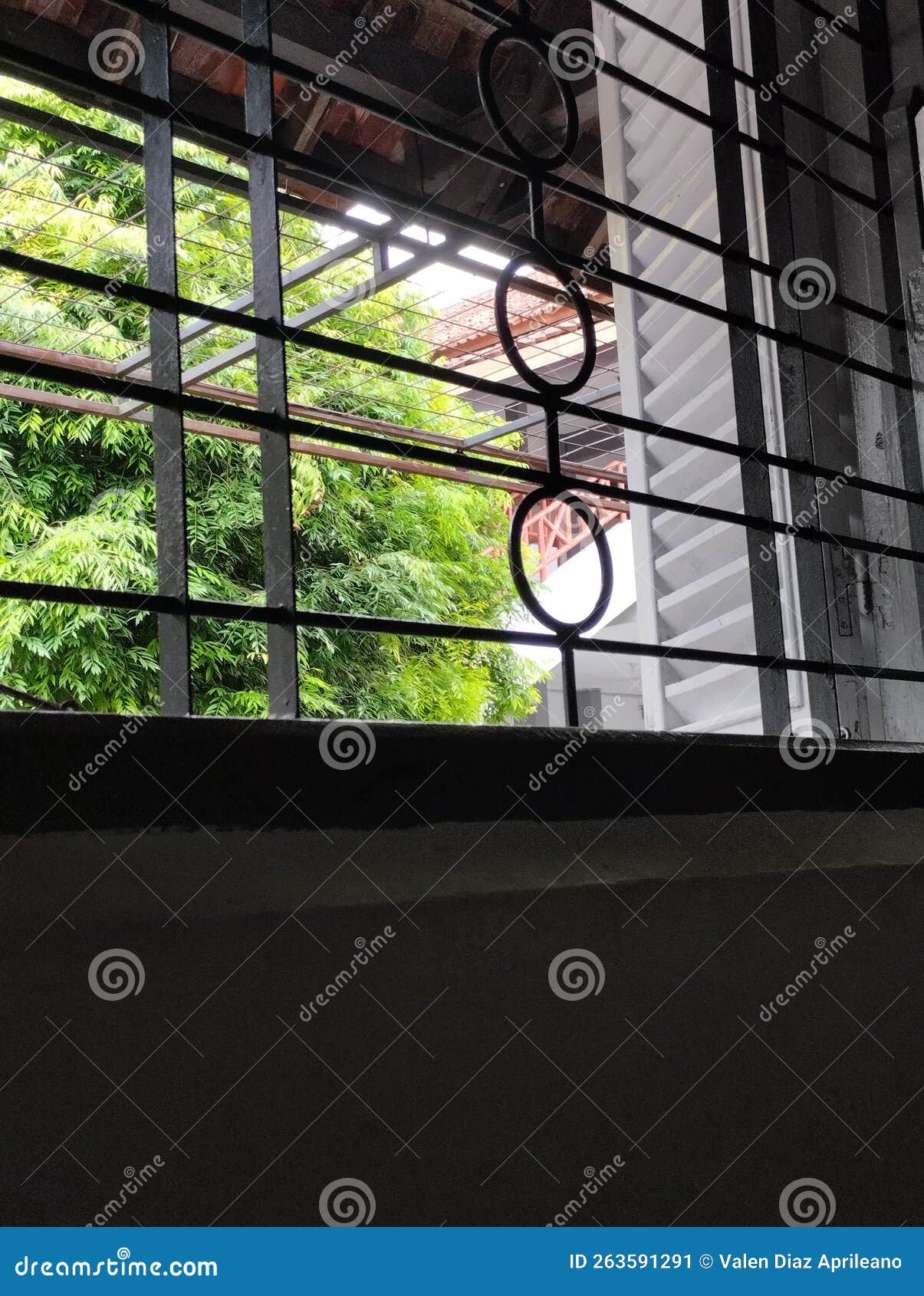 View from the Classroom Window Stock Image - Image of light, design ...