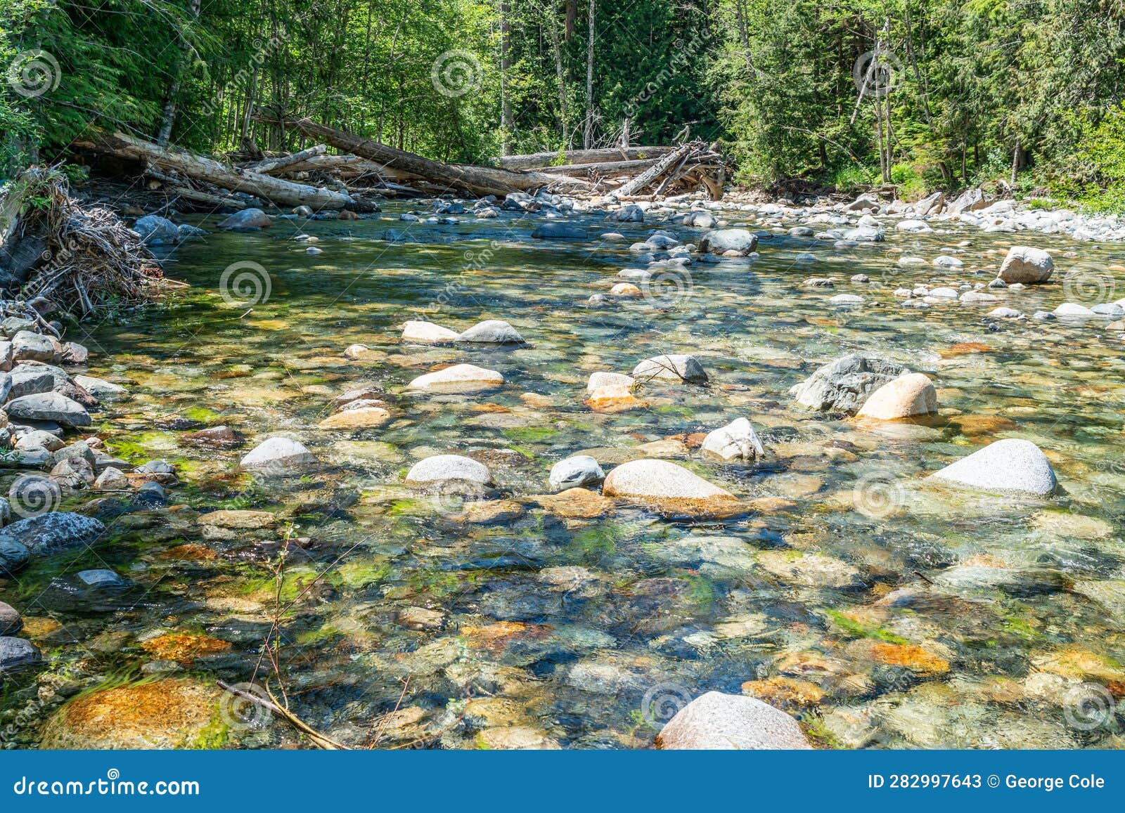 Clear Mountain Creek 8 stock image. Image of creek, nature - 282997643