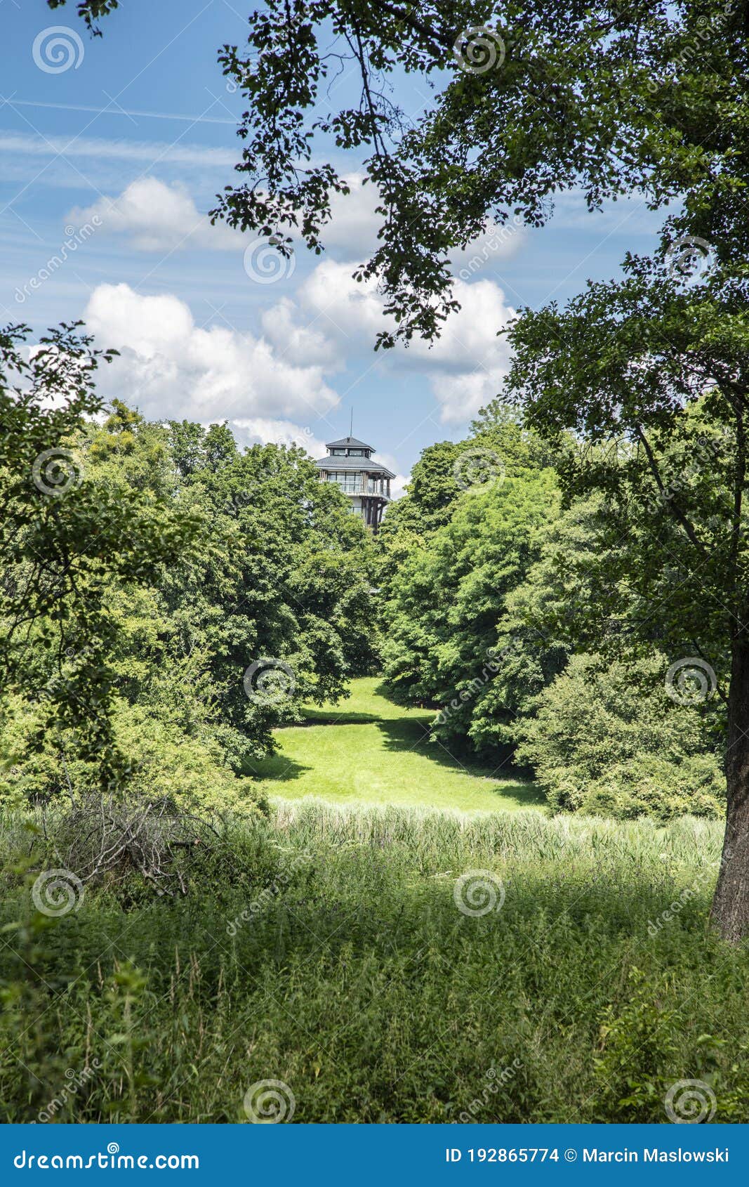 View of the Clearing, Trees in the Background Stock Photo - Image of ...