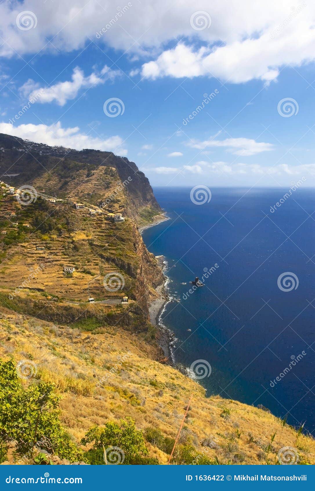 View from the Cliff stock photo. Image of tree, immersion - 1636422