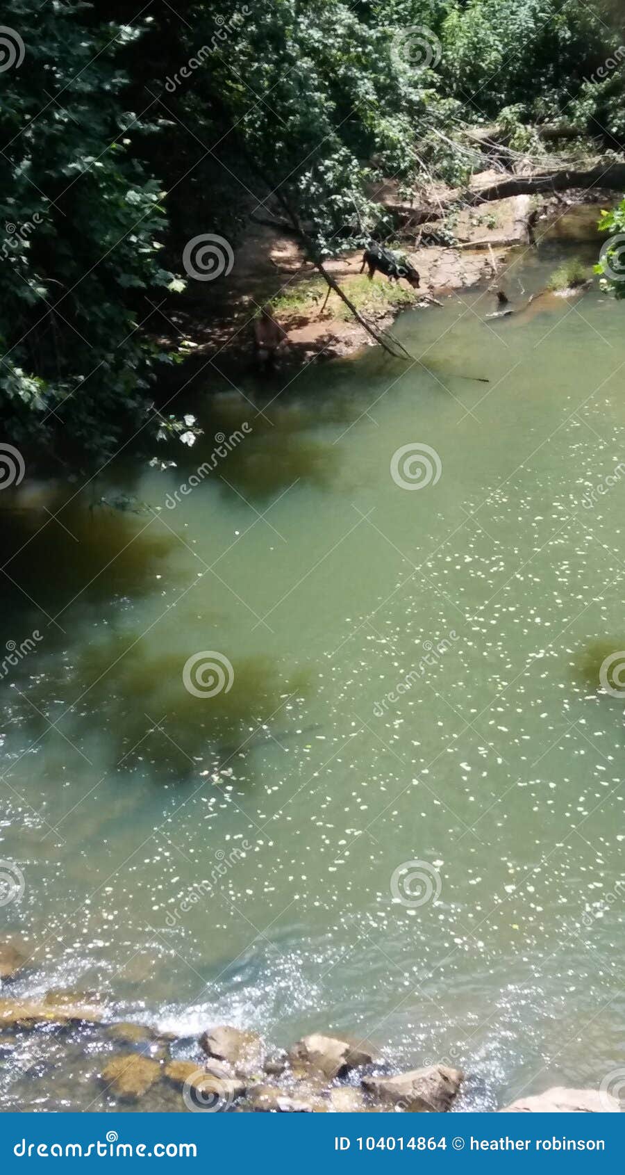 View from Cliff Above Waterfall Stock Photo - Image of trees, view ...