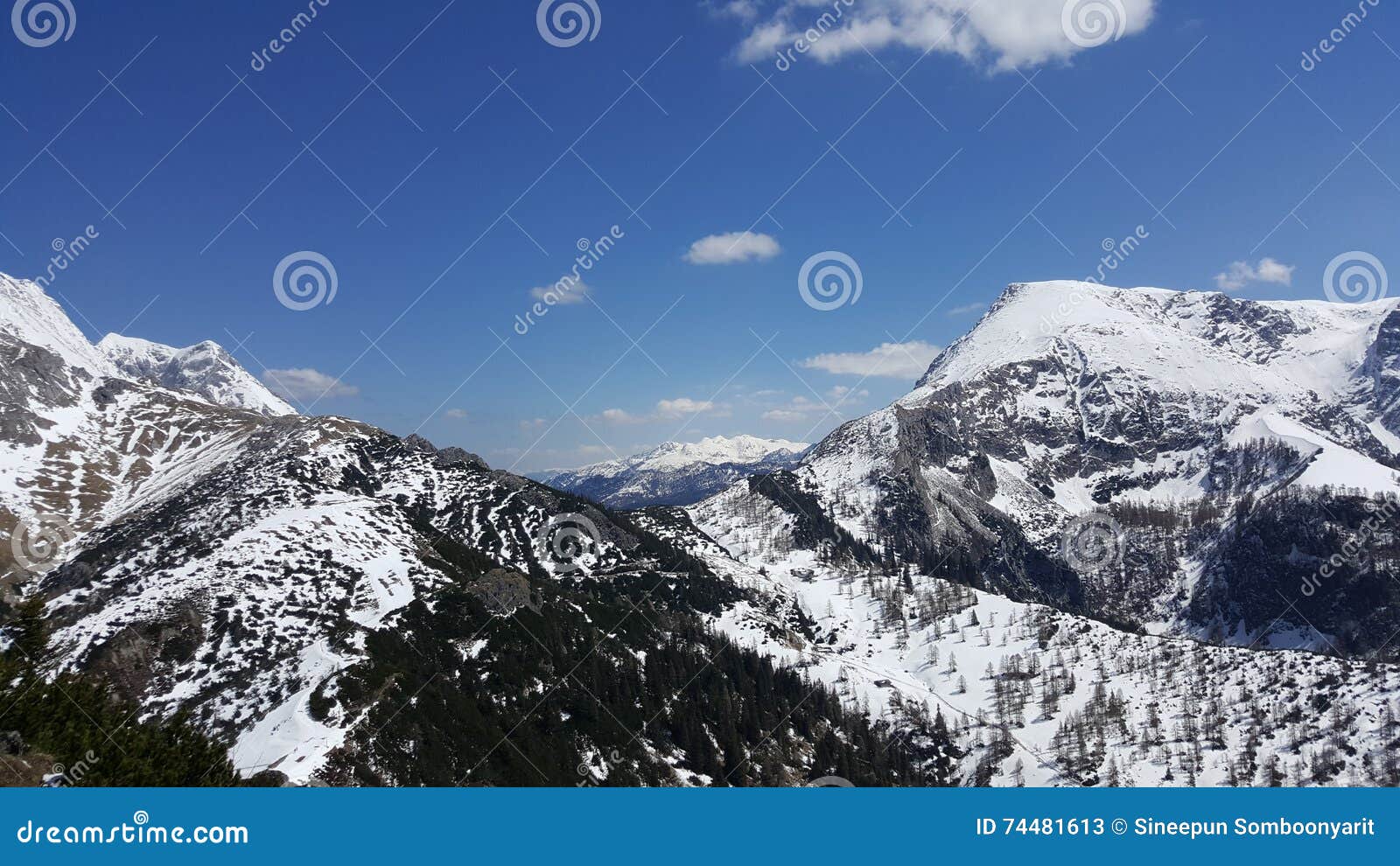 View from the Cliff of the Mount Jenner Stock Image - Image of germany ...