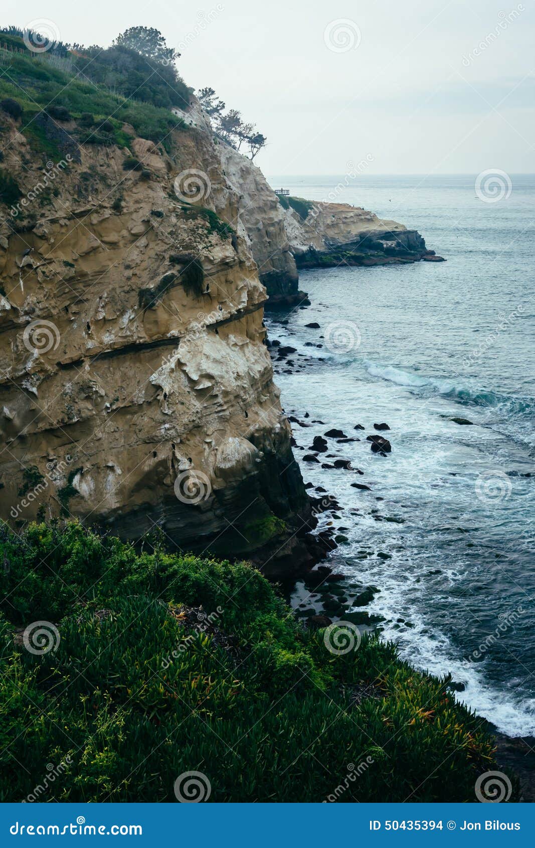 View of Cliffs Along the Pacific Ocean, in La Jolla, California. Stock ...