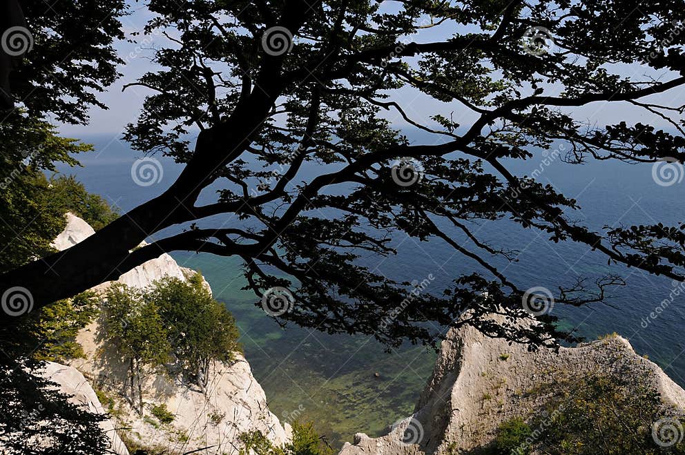 A View from the Cliffs of Mon Stock Image - Image of dania, krajobraz ...