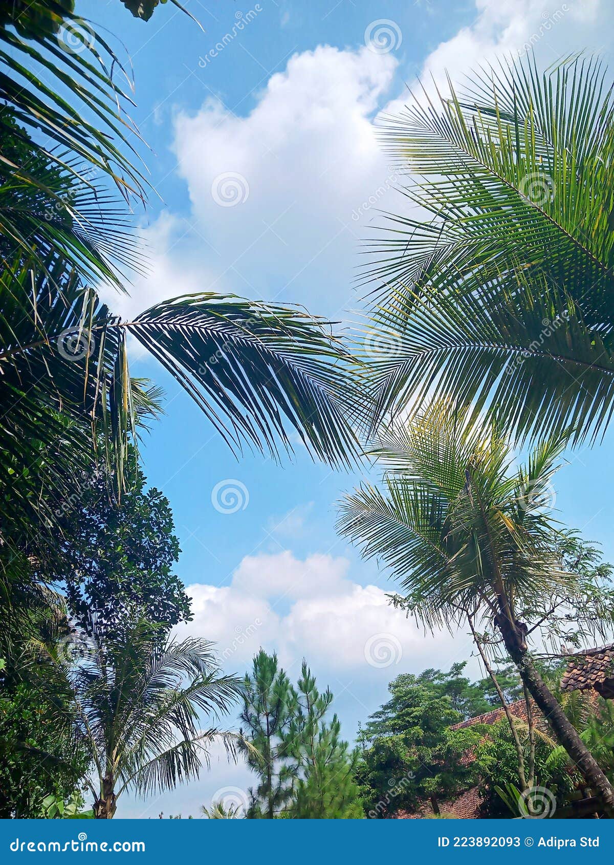 View of Clouds among Greenery in Garden Stock Image - Image of bright ...