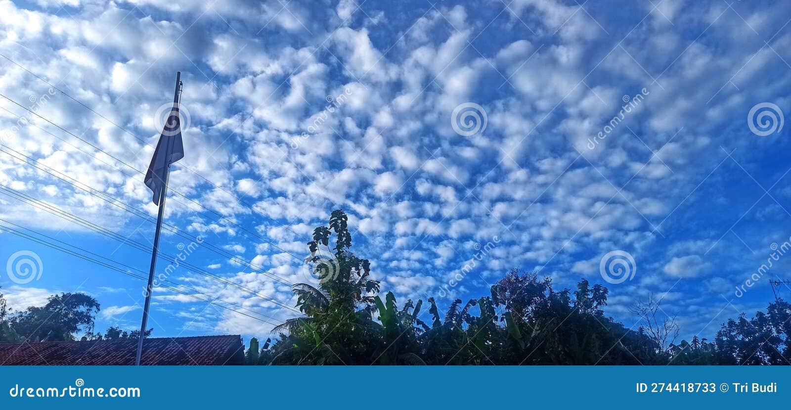 View Cloudy Monday Morning stock image. Image of trees - 274418733