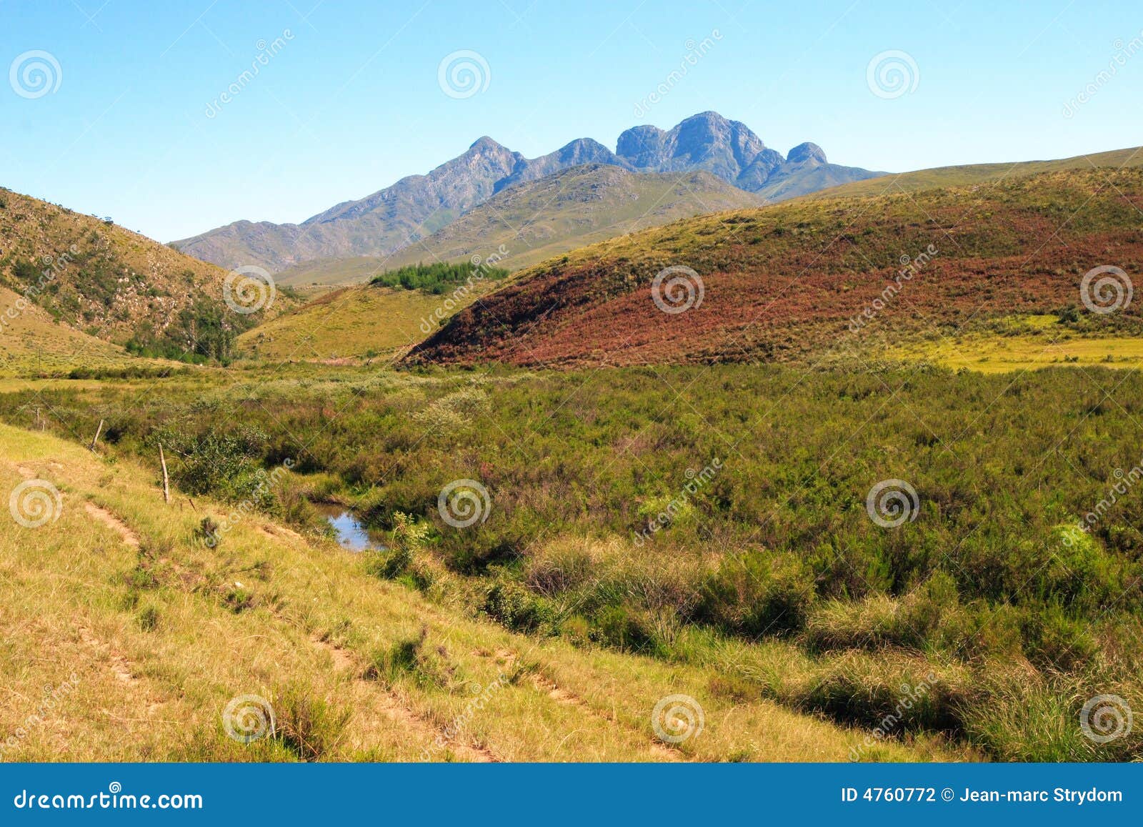 View of the Cockscomb Mountains Stock Photo - Image of landscape, cape ...