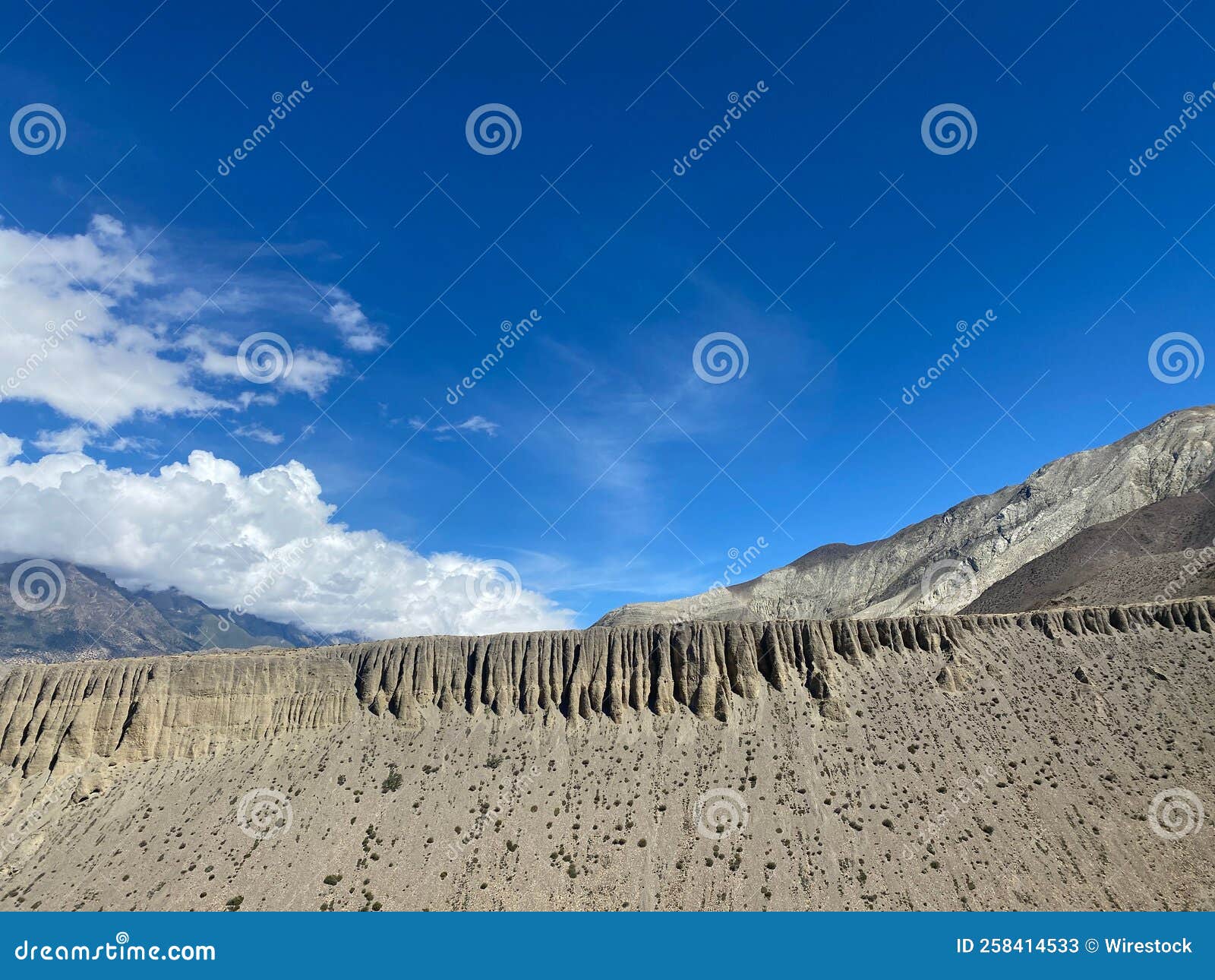 View of Cold Desert Mustang Landscape in the Blue Sky Background Stock ...