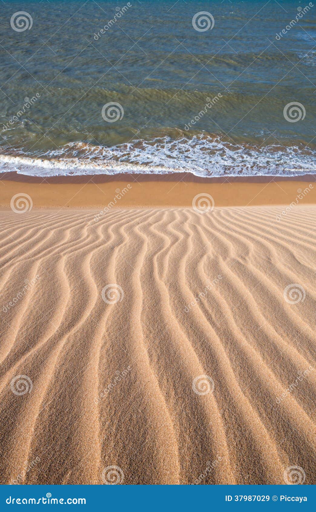 View of the Colombian Coastline in La Guajira Stock Image - Image of ...
