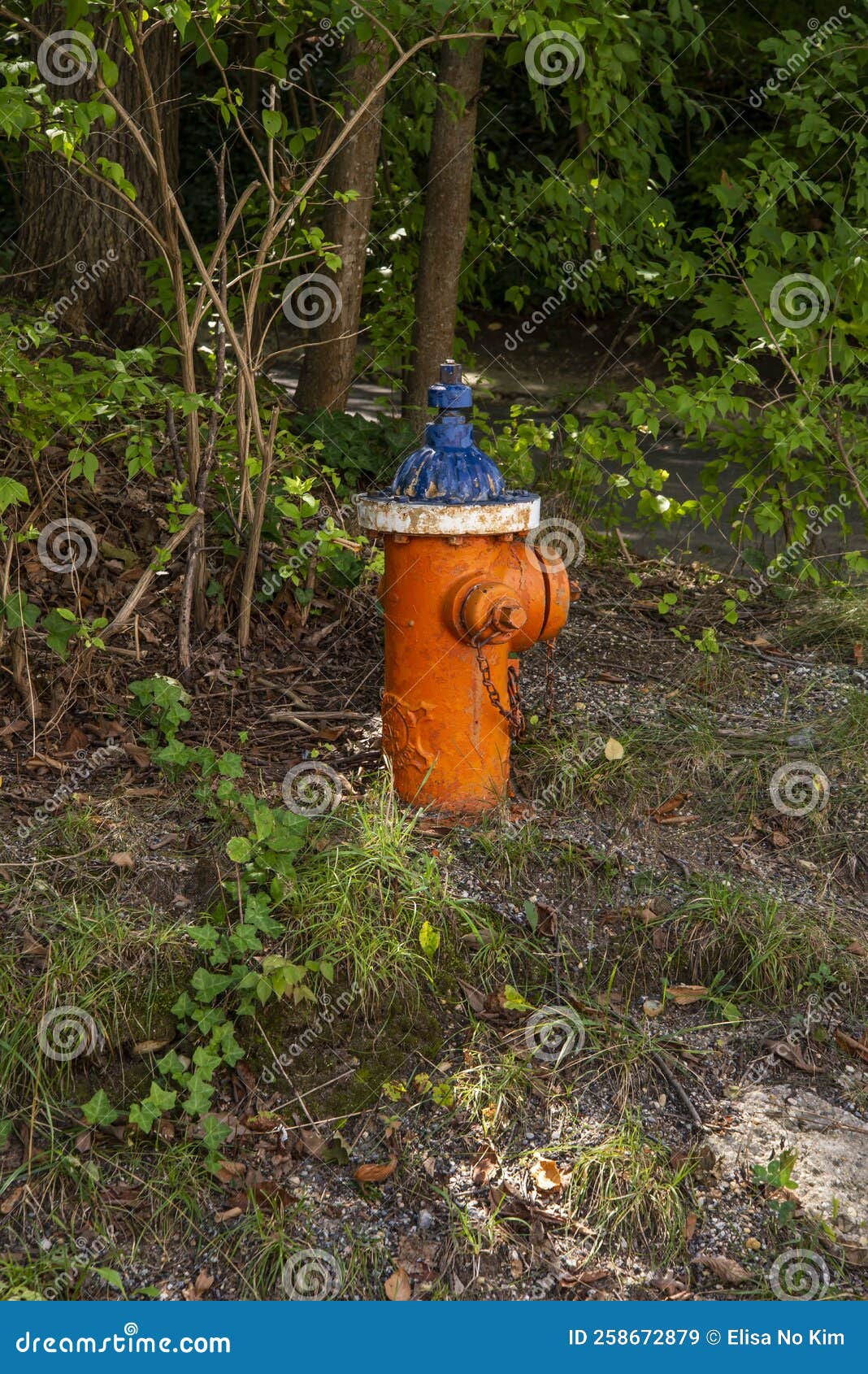 Colorful fire hydrant stock image. Image of street, picnic - 258672879