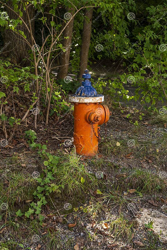 Colorful fire hydrant stock image. Image of street, picnic - 258672879
