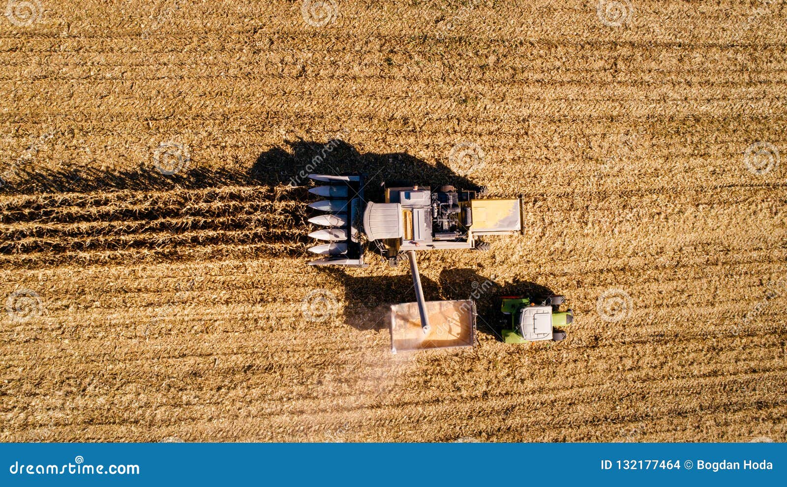 View of Combine Harvester Unloading Corn in Tractor Trailer Stock Photo ...