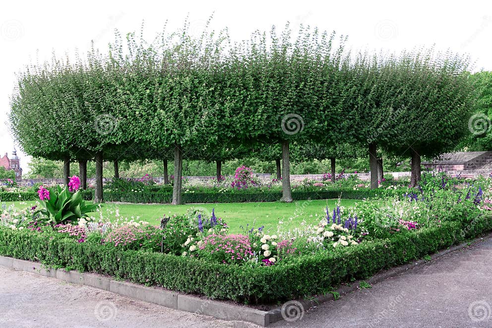 View of the Composition of Trees of Round Shape and a Flower Bed with ...