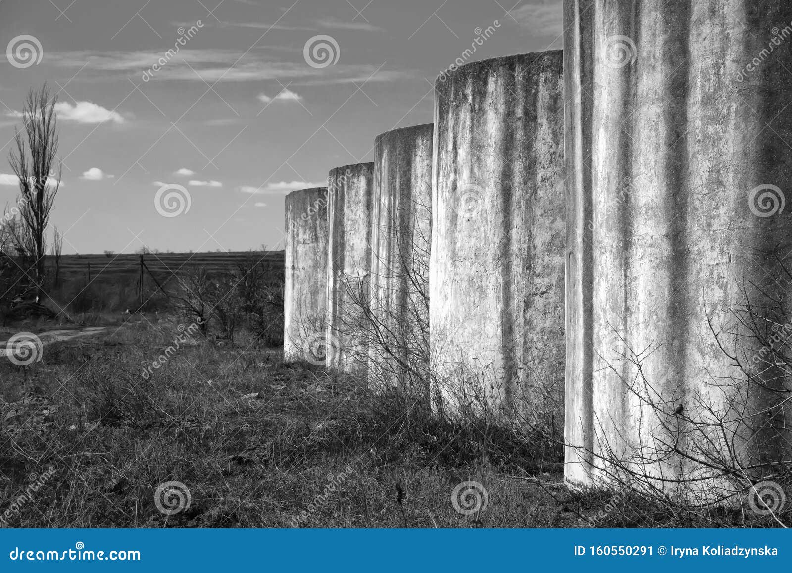 View Of The Concrete Columns Of The Building, Against The Backdrop Of ...